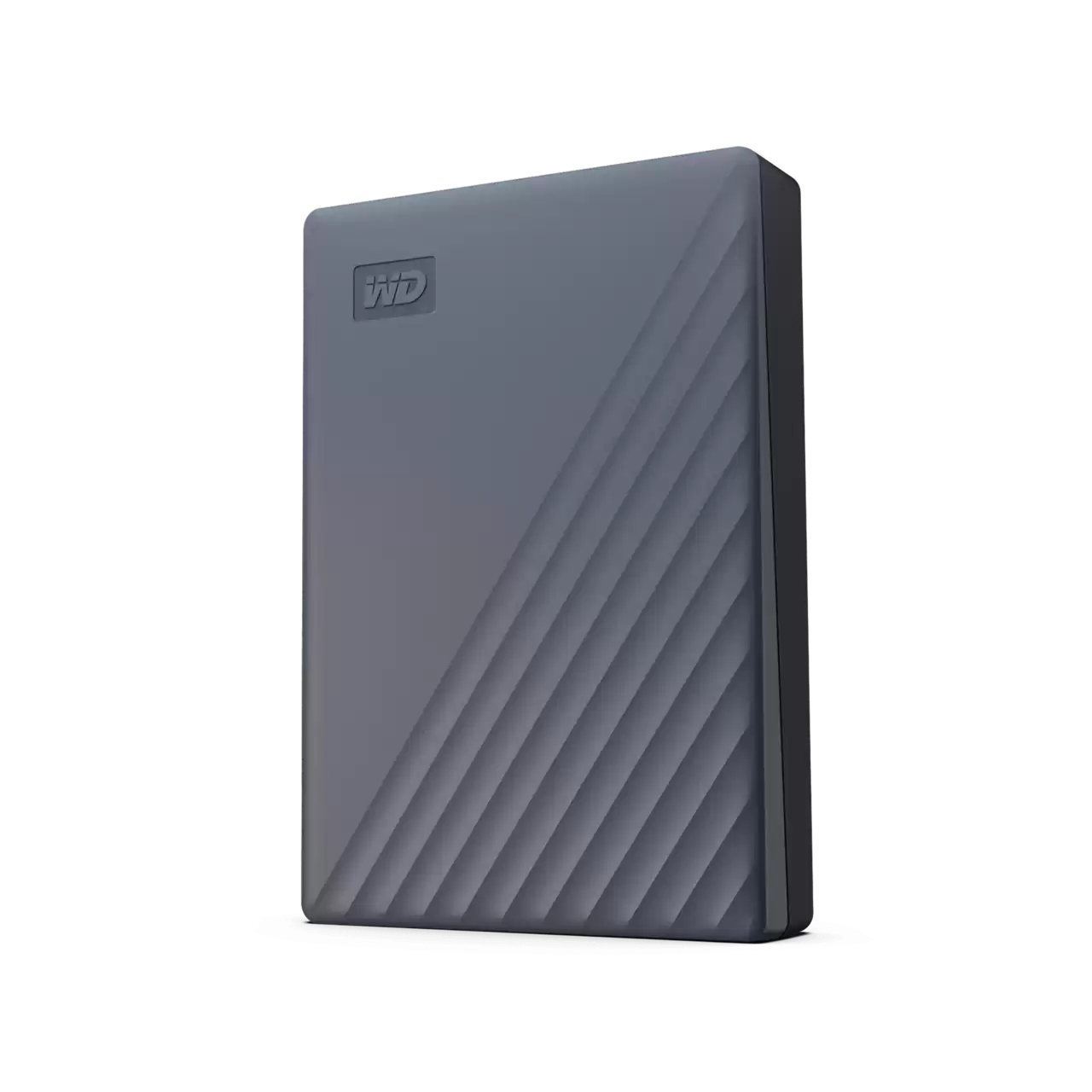 WD External Hard Disk / SSD 外置硬碟/固熊硬碟